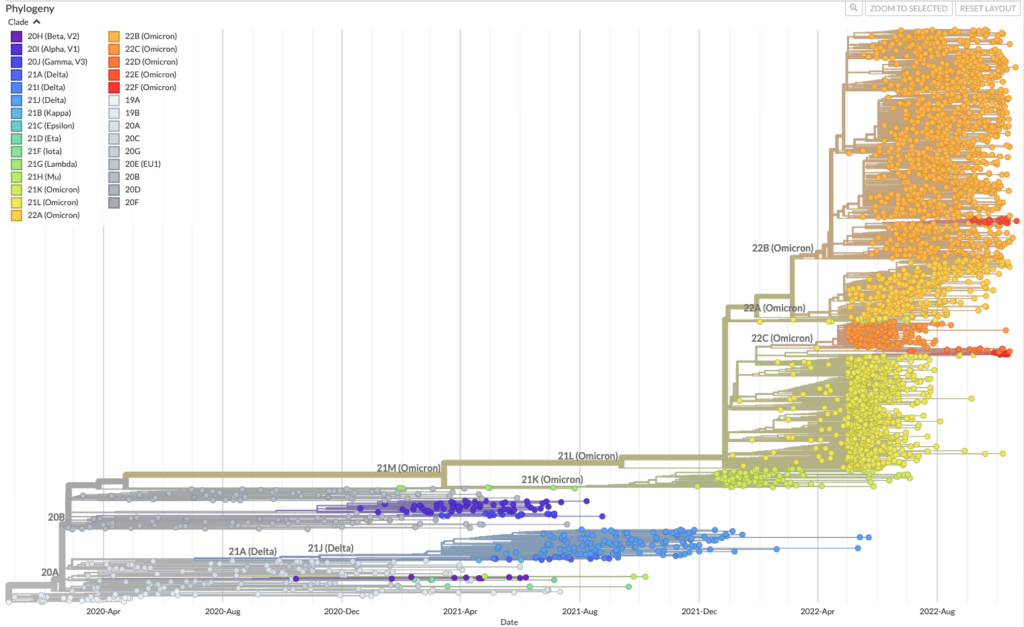 Using phylogenetics to track disease outbreaks