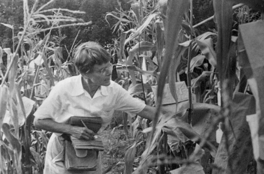 Unsung heroes in science: Barbara McClintock