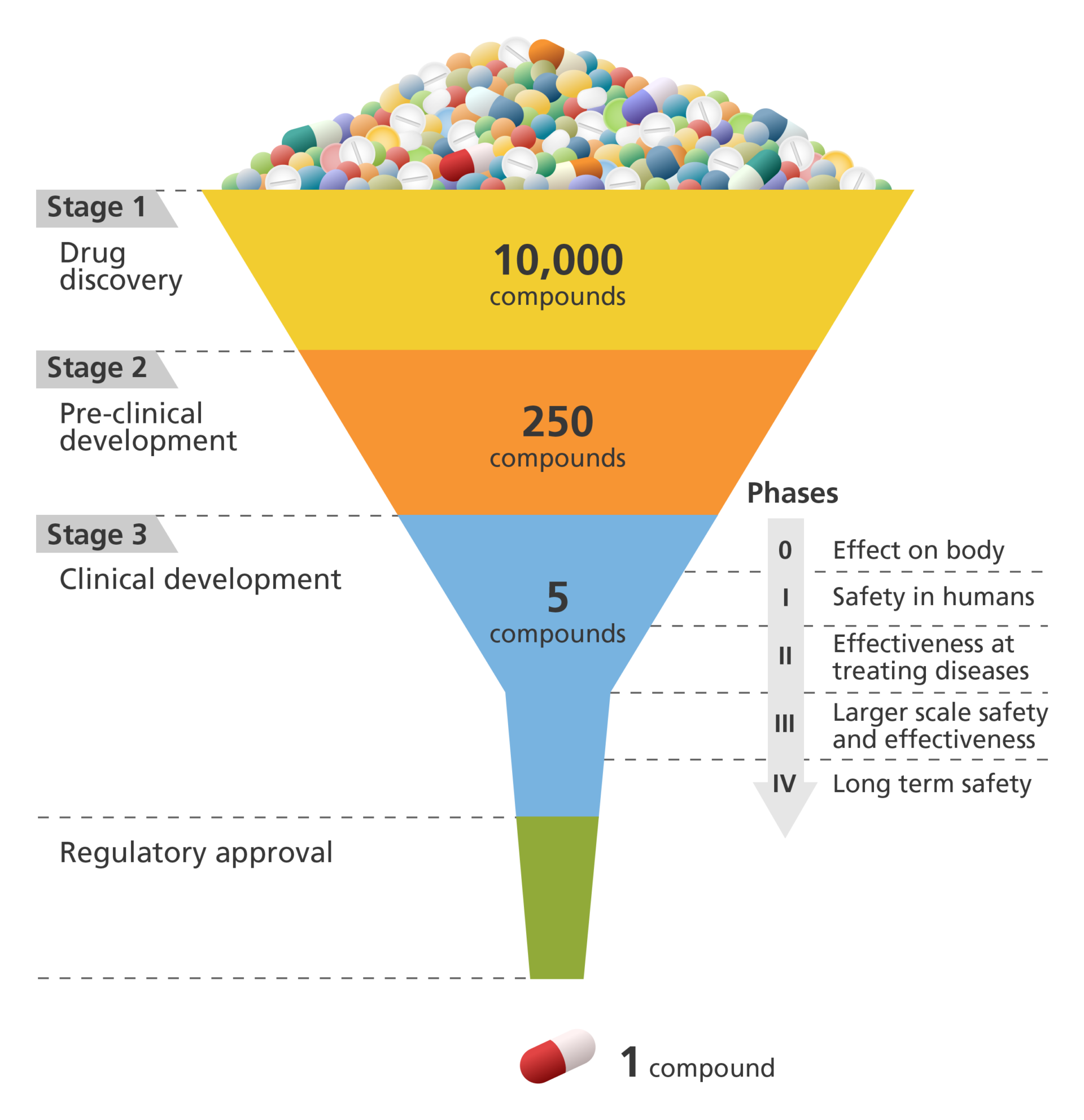 How are drugs designed and developed?