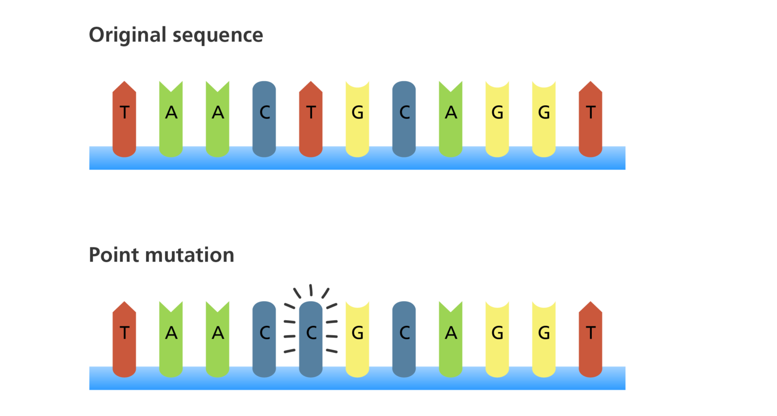 Different types of mutations