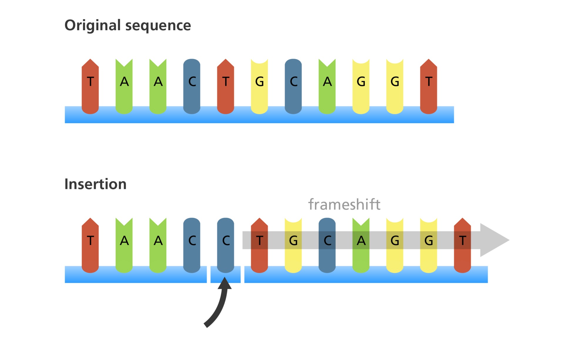 Different types of mutations