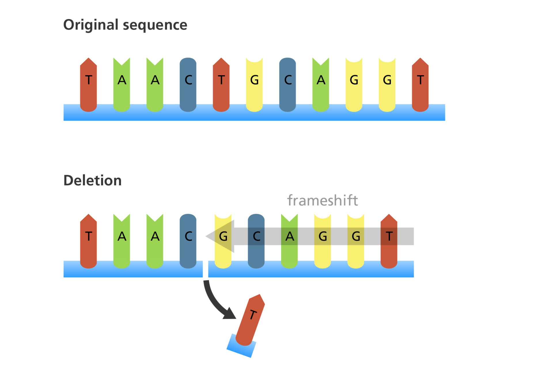 Different types of mutations