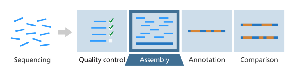 Post-sequencing: putting the sequence back together