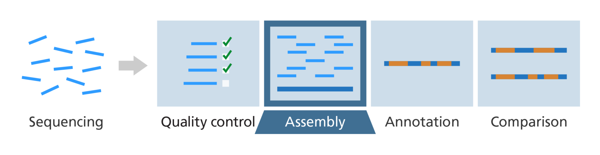 Post-sequencing: putting the sequence back together