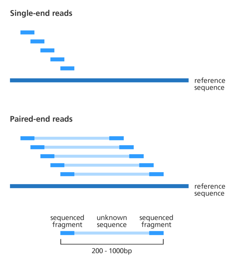 Post-sequencing: putting the sequence back together