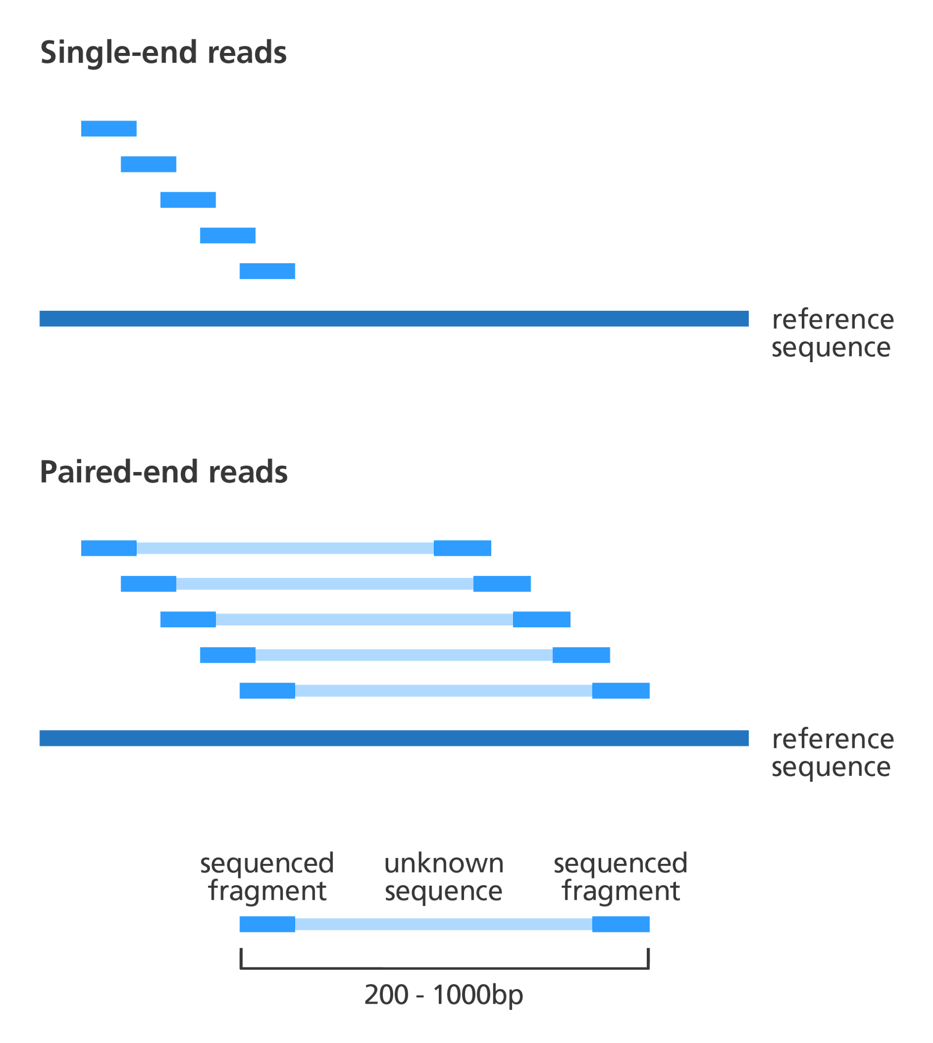 Post-sequencing: putting the sequence back together