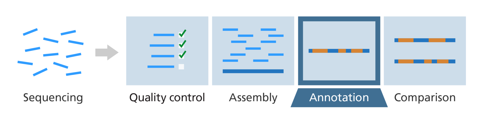 Post-sequencing: sequence annotation