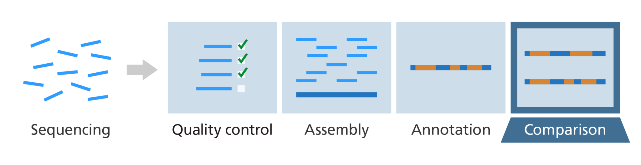 Post-sequencing: sequence comparisons