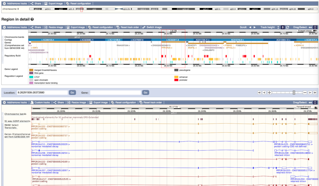 Post-sequencing: storing and sharing sequenced genomes