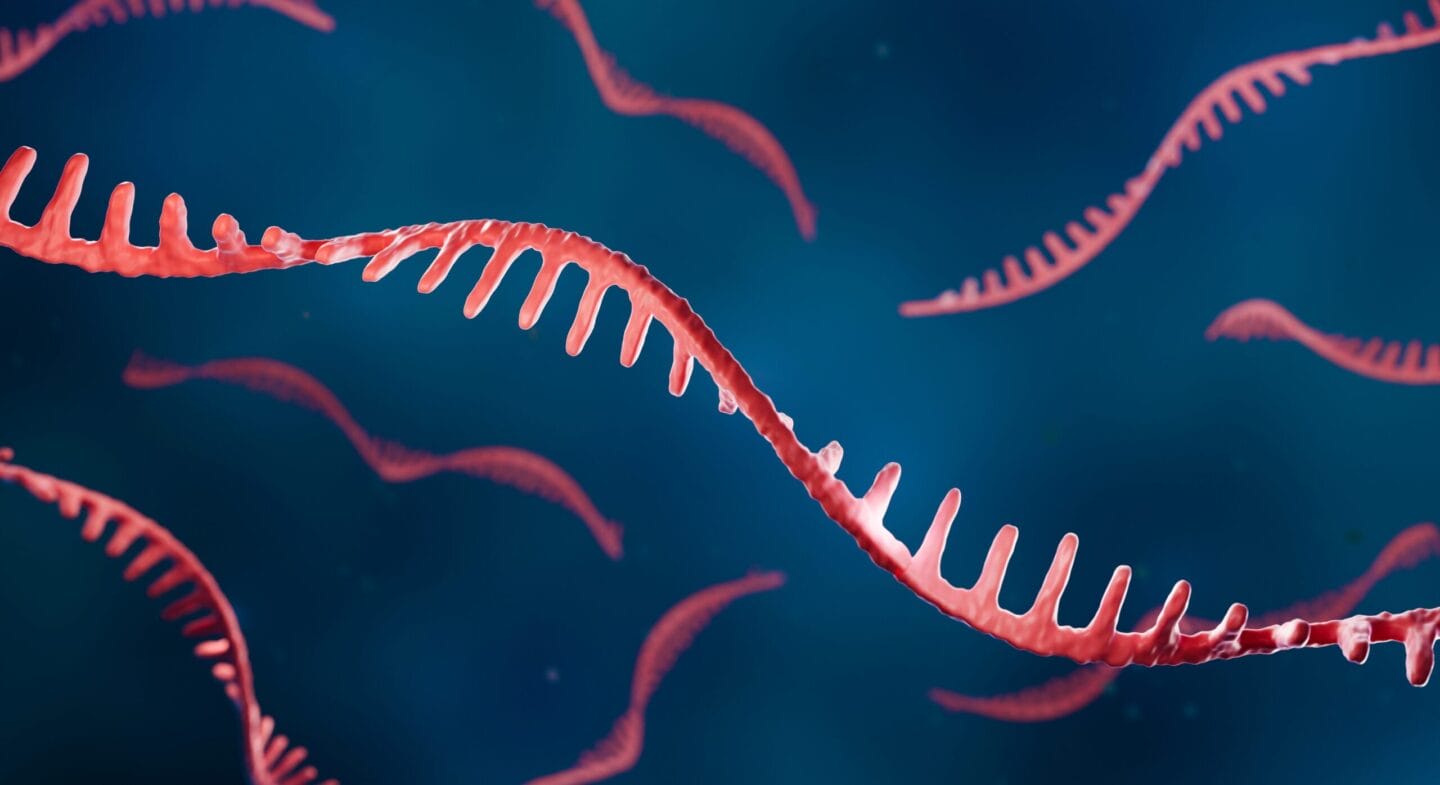 What is RNA?