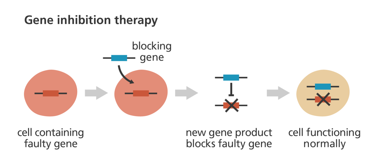 What is gene therapy?
