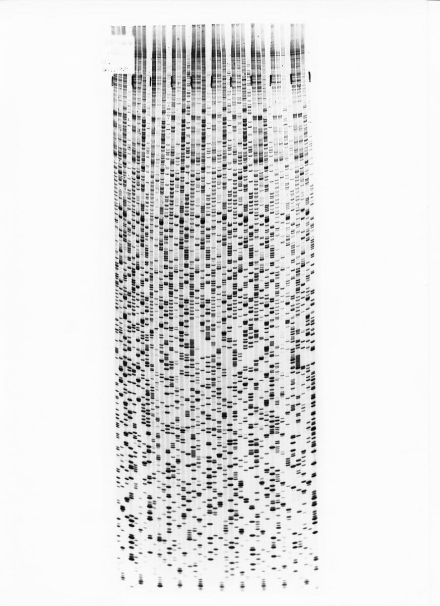 What is Sanger Sequencing?