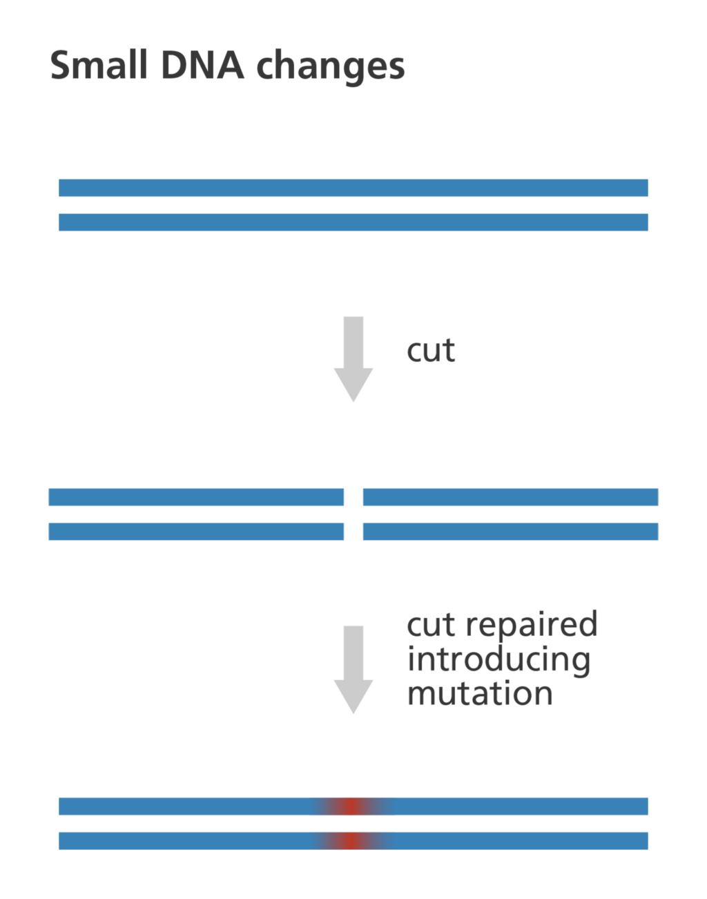 Types of genome edits