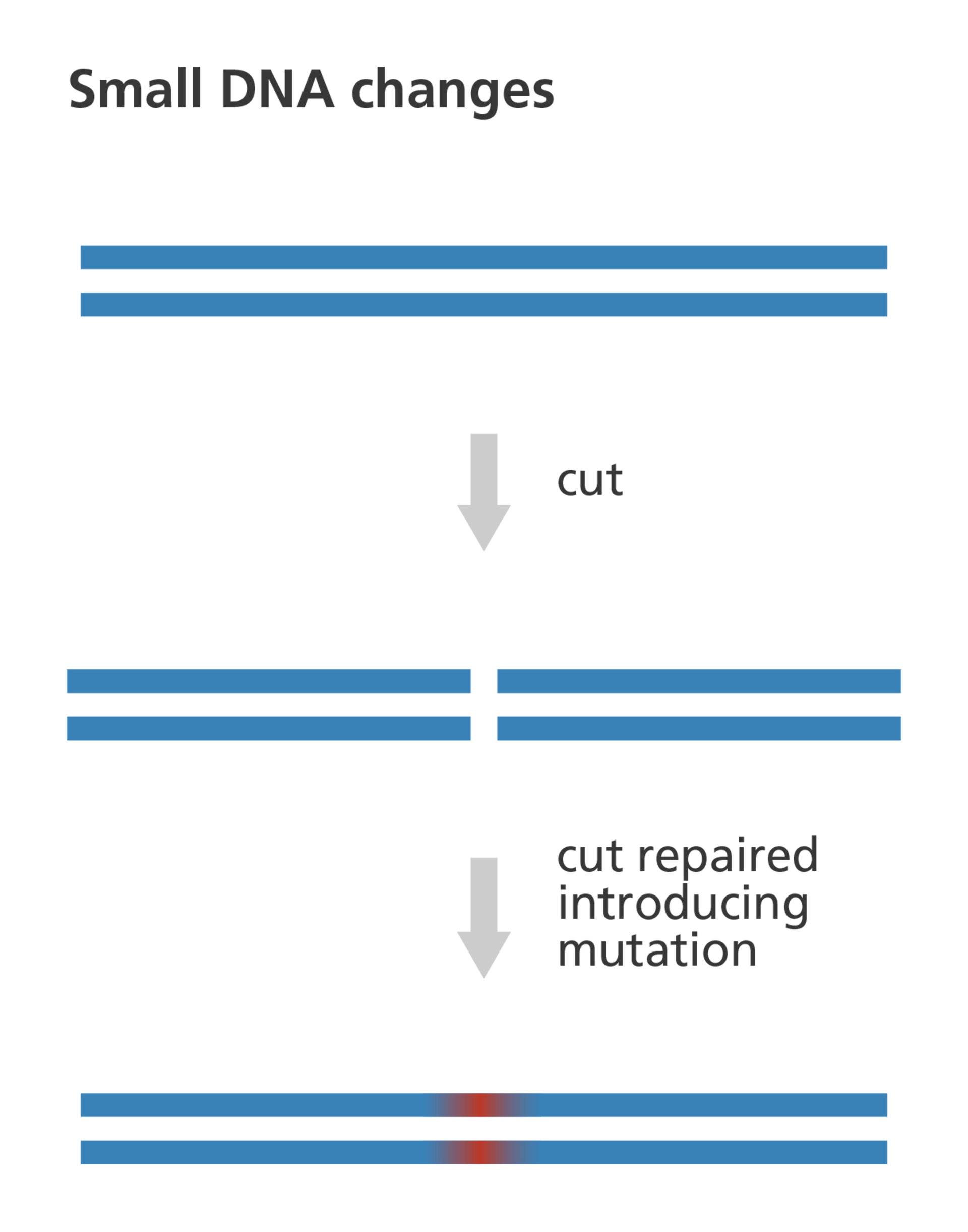 Types of genome edits