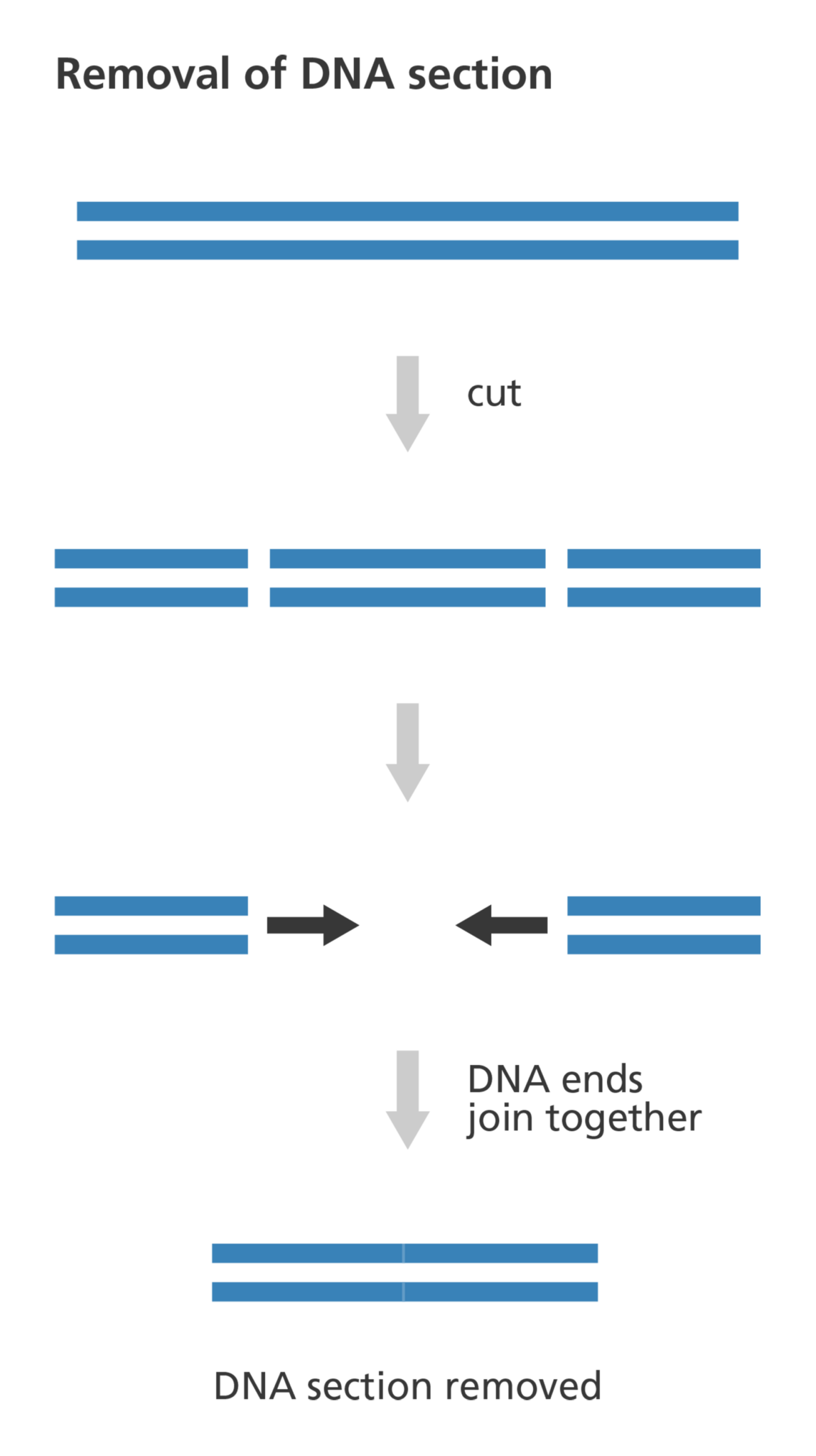 Types of genome edits