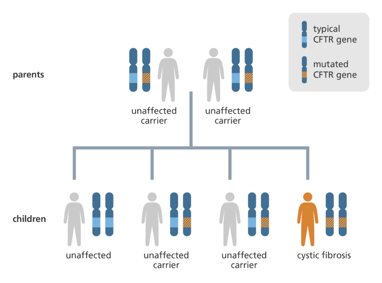 Cystic Fibrosis Genetic Testing