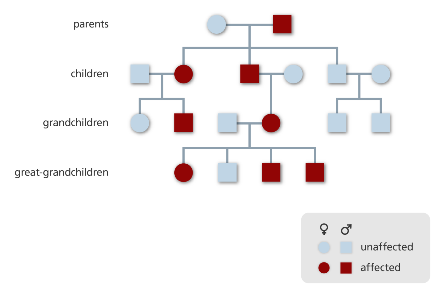 What are single gene disorders?