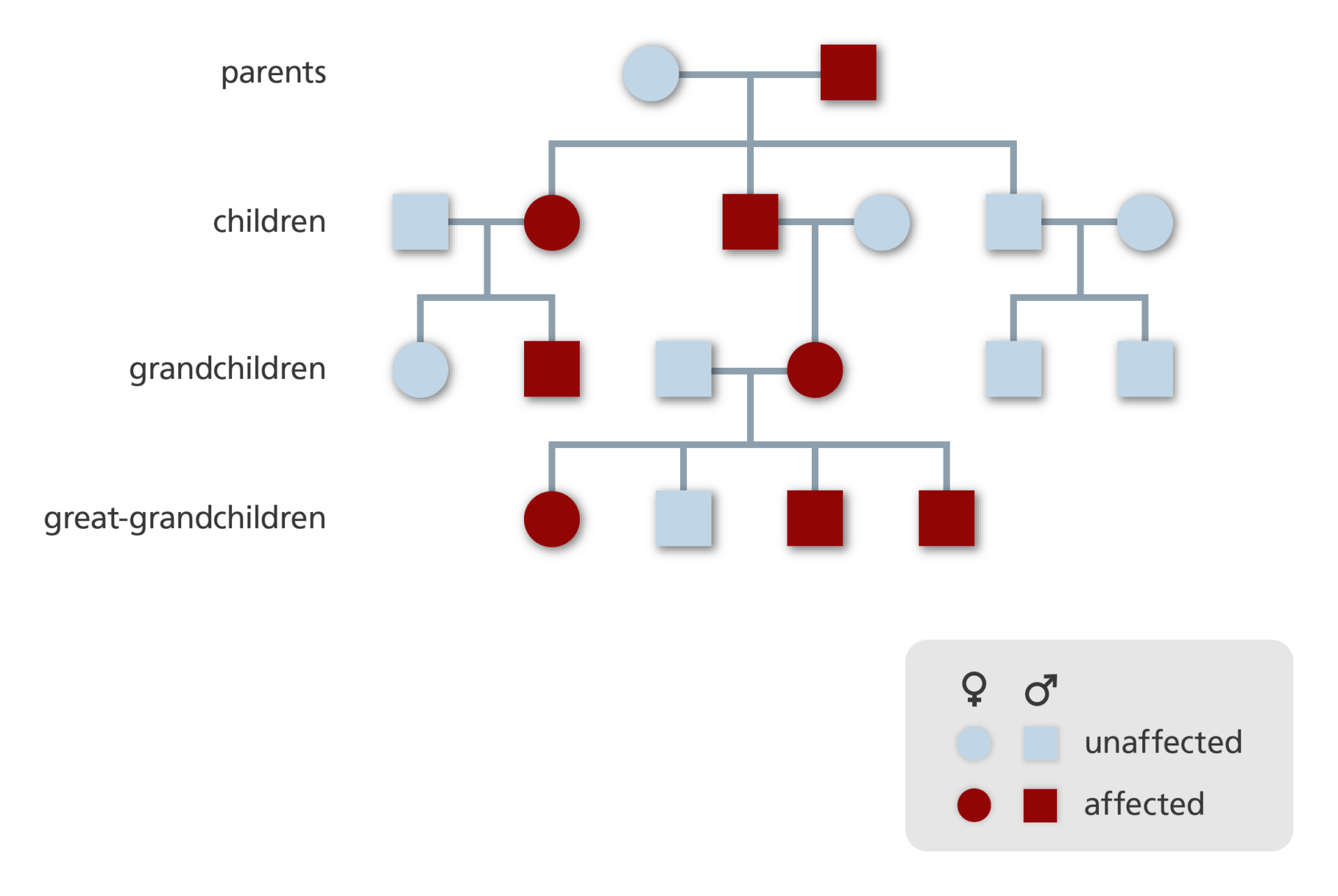 What are single gene disorders?