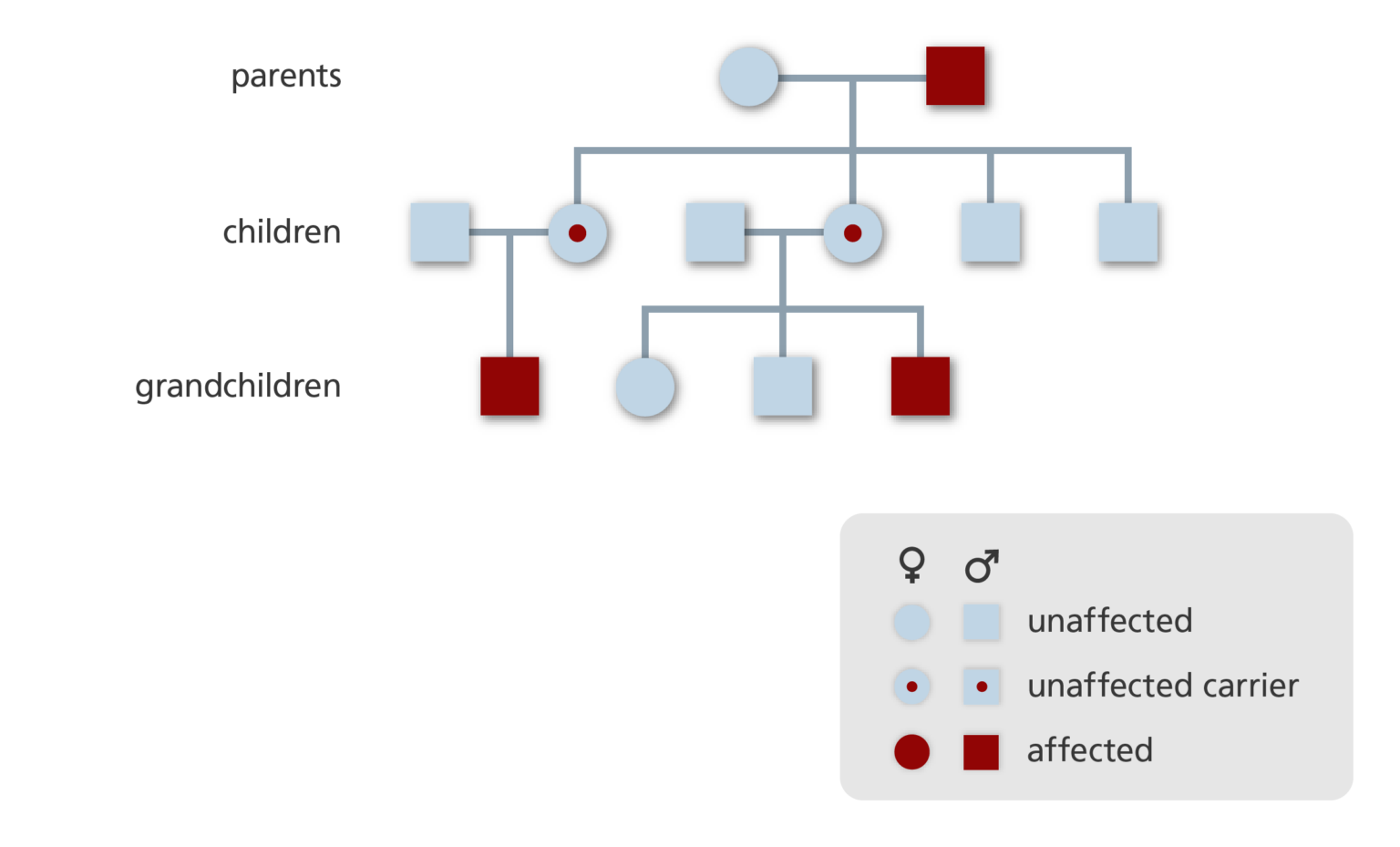 What are single gene disorders?