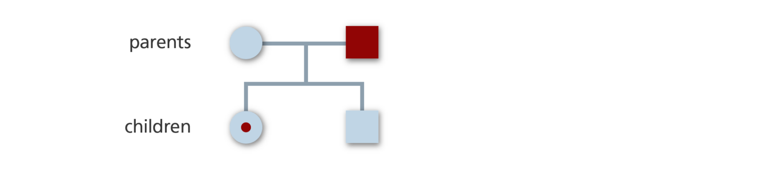 What are single gene disorders?