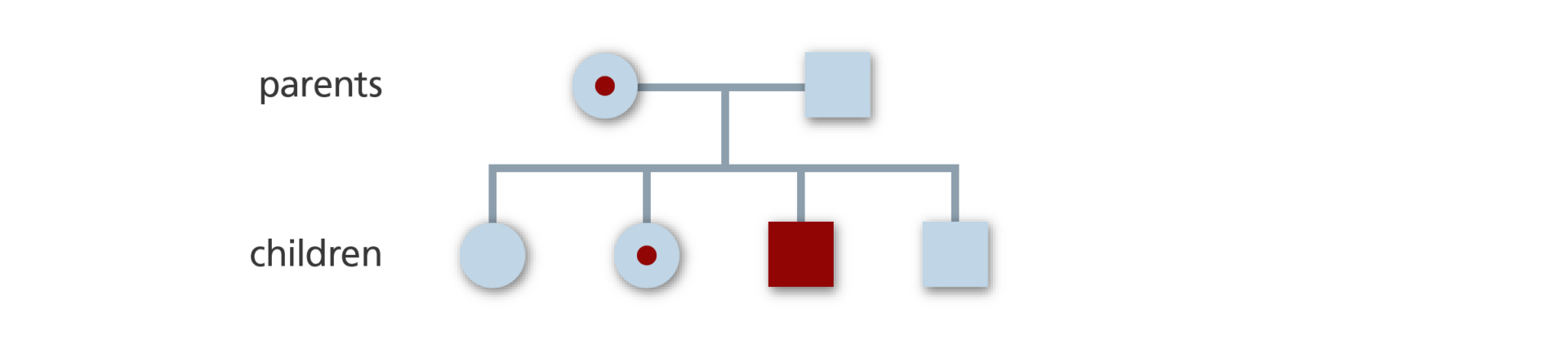 What are single gene disorders?