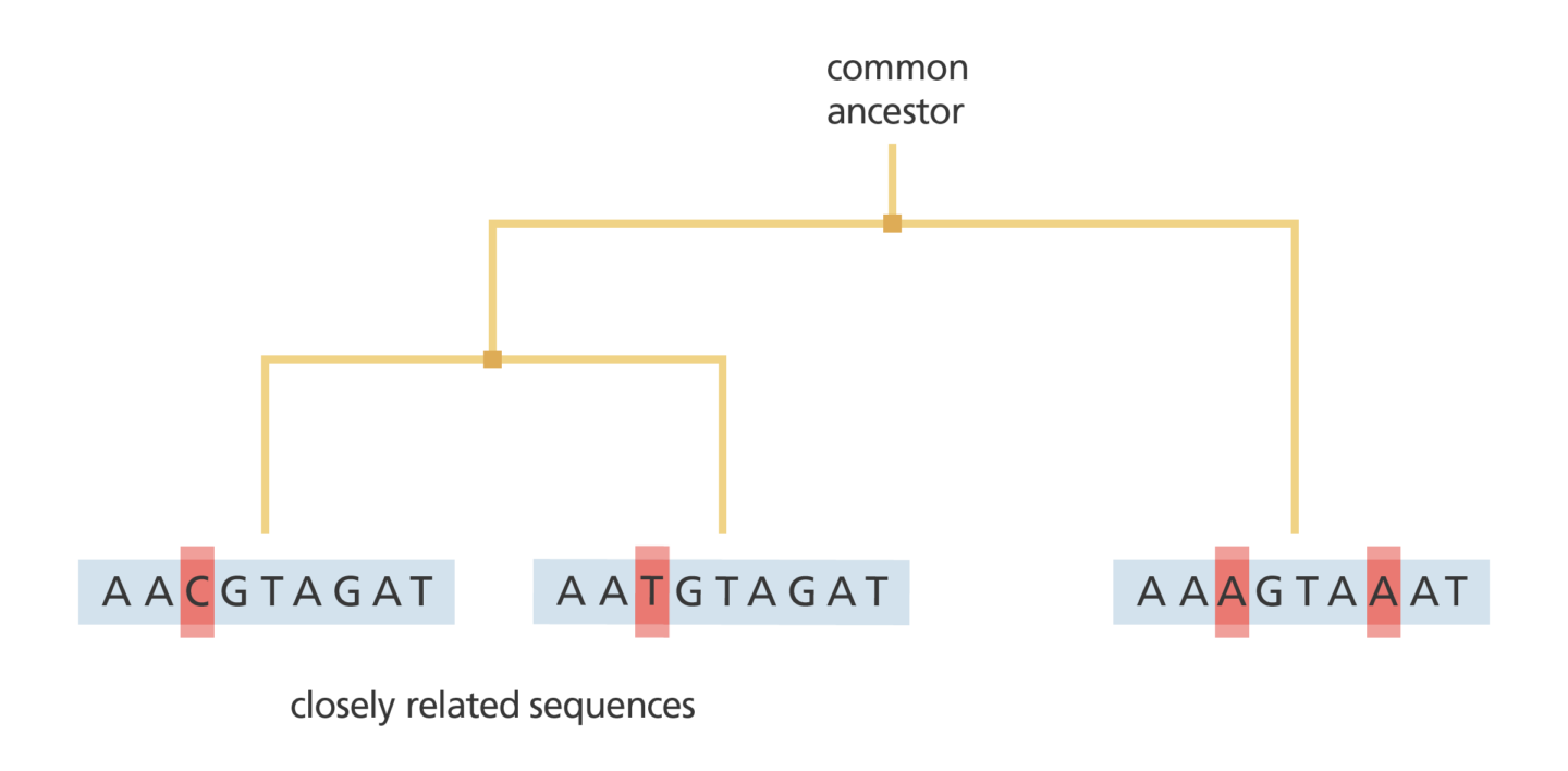 Science in the time of cholera