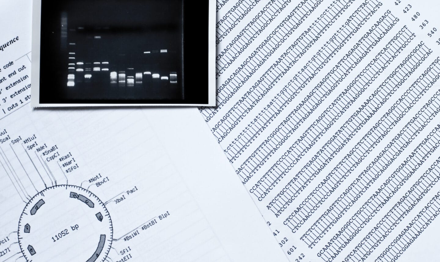 How do you map a genome?