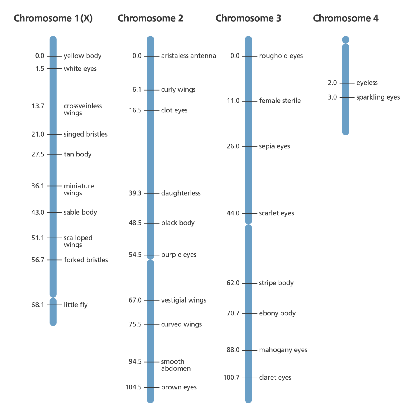 How do you map a genome?