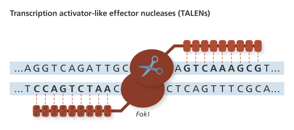 The evolution of genome editing tools